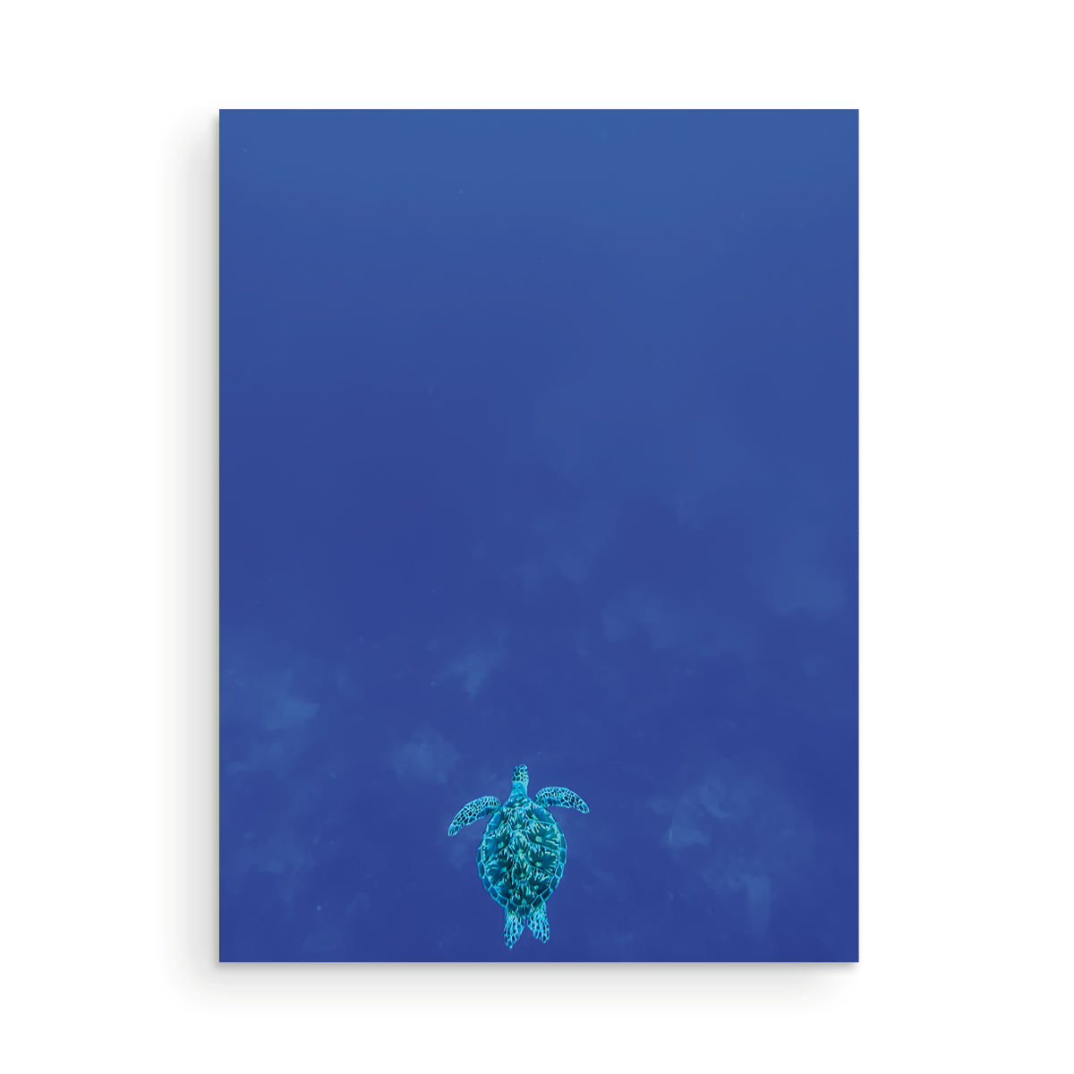 Zen Tahitian Turtle – Something New For Dinner